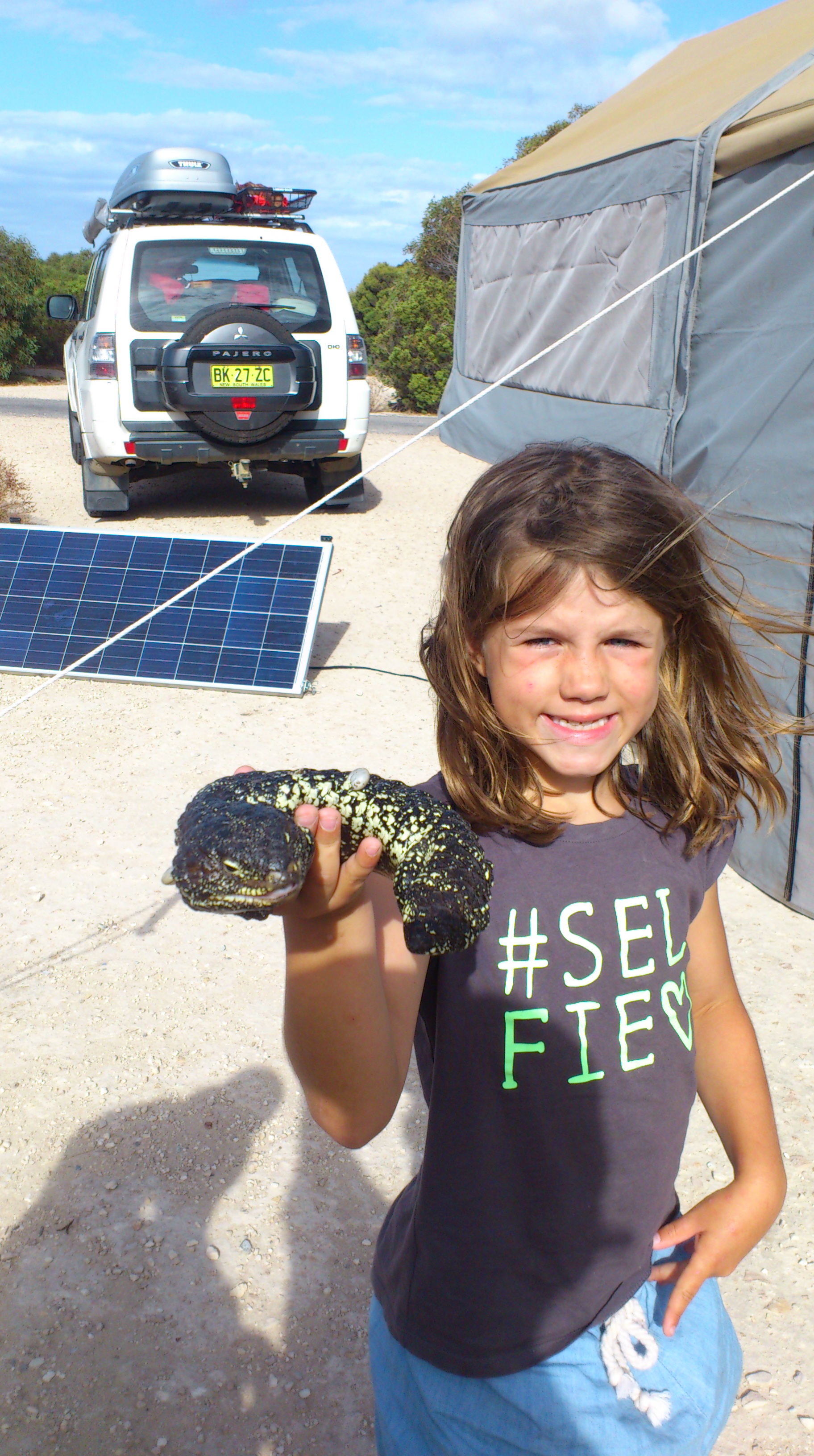 Innes National Park – Ship wrecks, Emus, Snakes and Shingleback lizards ...