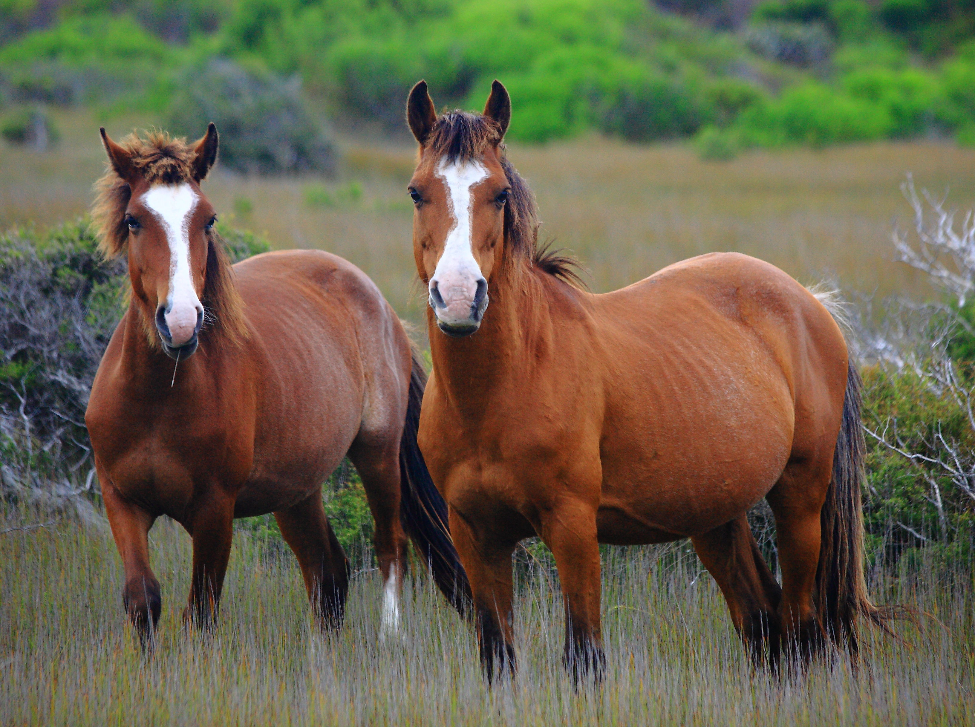Dunn Rocks | Fifty Toes Walkabout