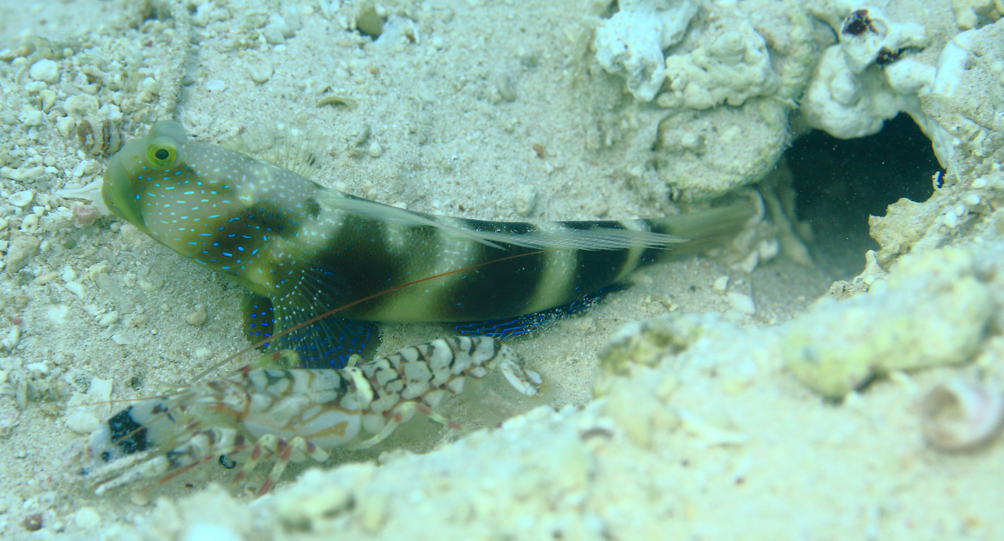 Cape Range National Park | Fifty Toes Walkabout